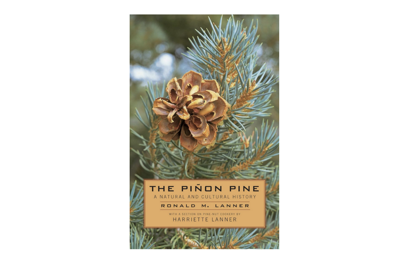 The Pinon Pine - A Natural and Cultural History - The Way of Things