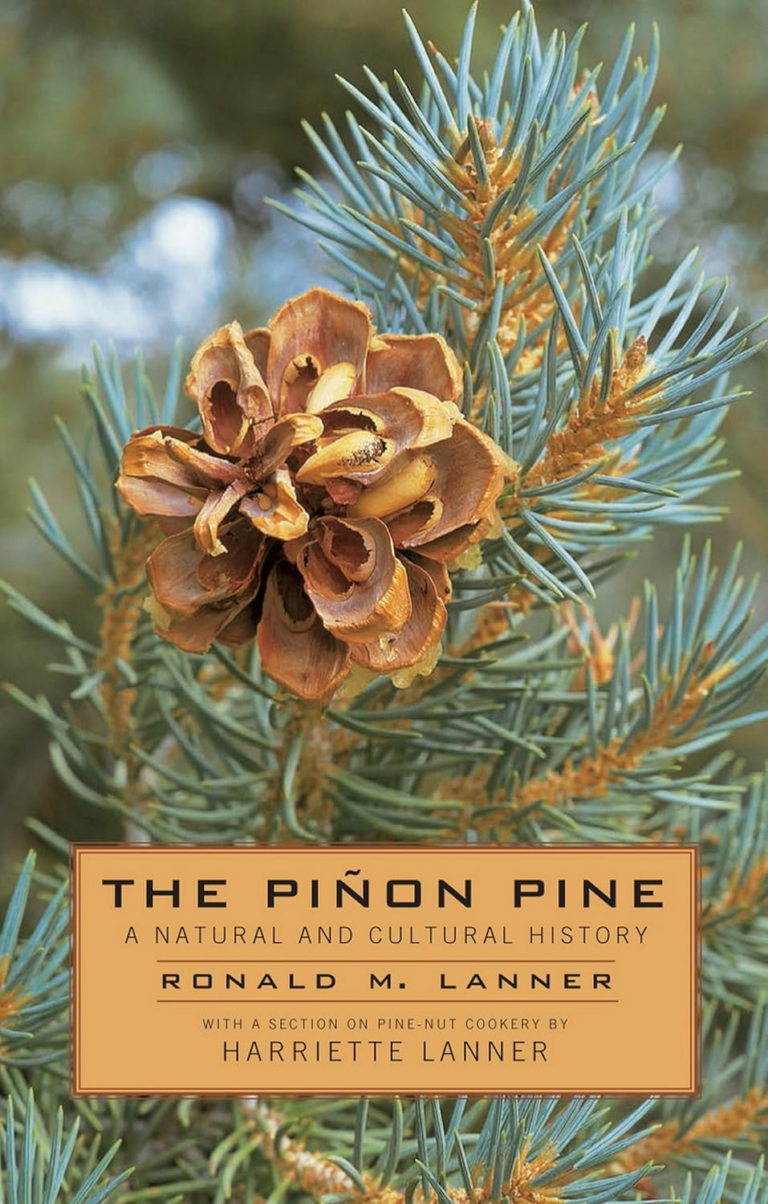 The Pinon Pine - A Natural and Cultural History - The Way of Things